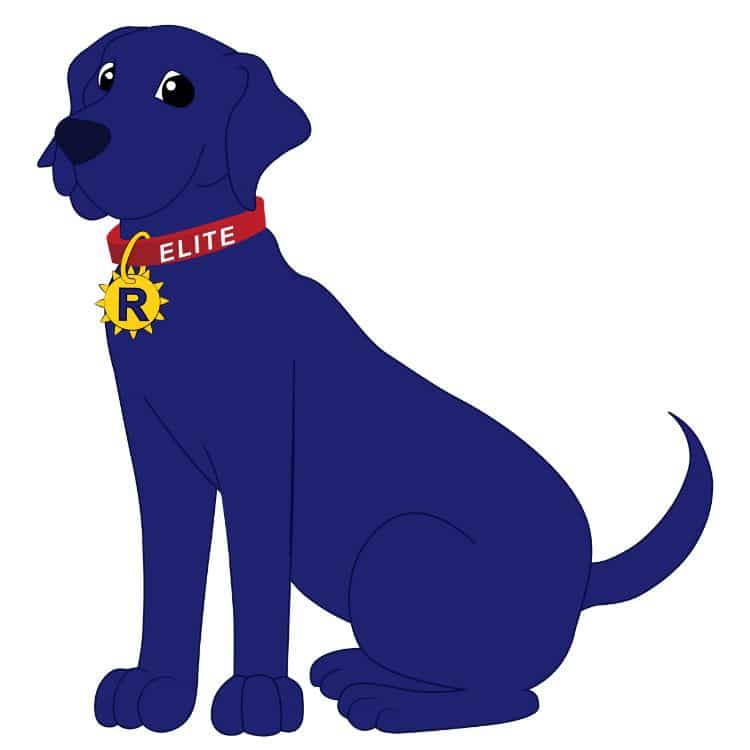 About | Elite Roof and Solar | Solar Roofing Company