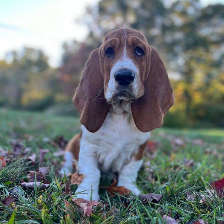 About | Elite Roof and Solar | Solar Roofing Company